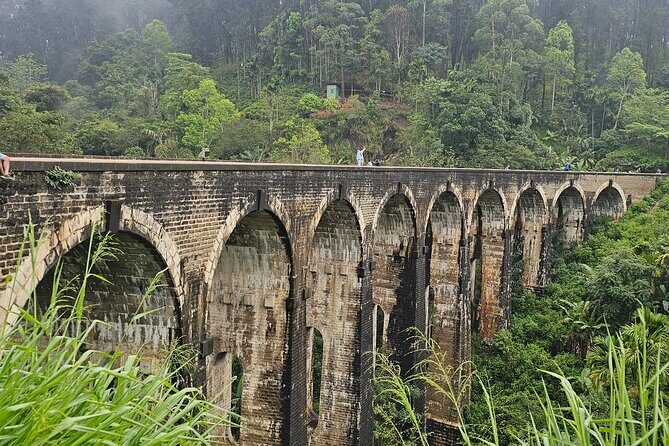 Ella Train Trip & Udawalawa Private Day Tour Bentota/Kosgoda - Key Points