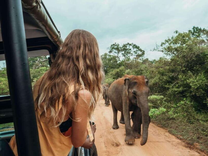 Ella: Transfer to Mirissa/Galle/Hikkaduwa & Udawalawe Safari - An In-Depth Look at the Experience
