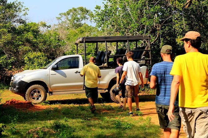 Ella: Transfer to Tangalle/Mirissa/Galle & Yala/Udawalawe Safari - A Closer Look at the Safari Experience