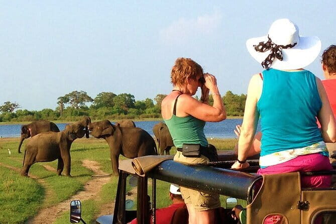 Ella: Transfer to Tangalle/Mirissa/Galle & Yala/Udawalawe Safari - Frequently Asked Questions