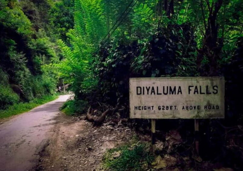 Ella: Tuk Tuk Tour to Diyaluma and Secret Waterfalls - Ravana Falls — The Largest in Ella