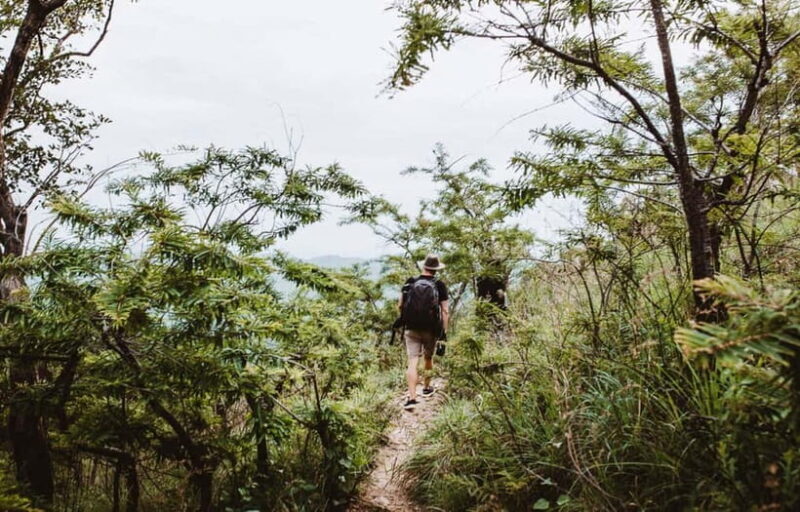 Ella: Tuk Tuk Tour to Diyaluma and Secret Waterfalls - Diyaluma Falls — The Showstopper