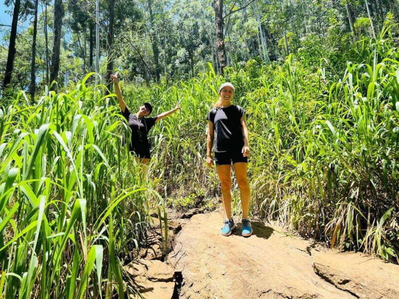 Ella: Tuk-Tuk Tour with Little Adam's Peak and Waterfalls - The Sum Up