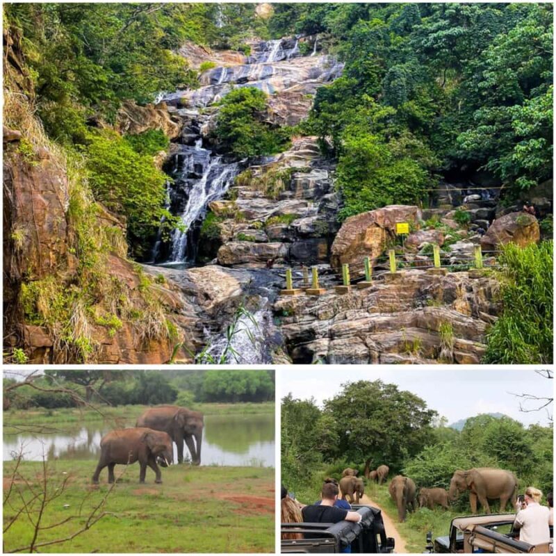 Ella: Udawalawe National Park Safari with Pickup - Key Points