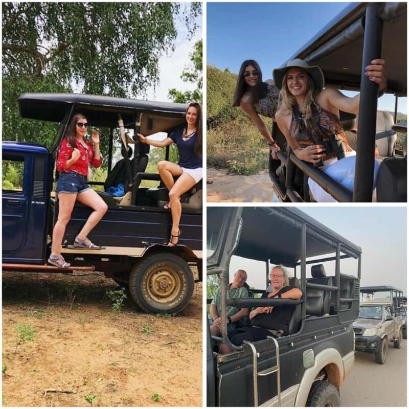 Ella: Udawalawe National Park Safari with Pickup - Practical Tips for Your Safari