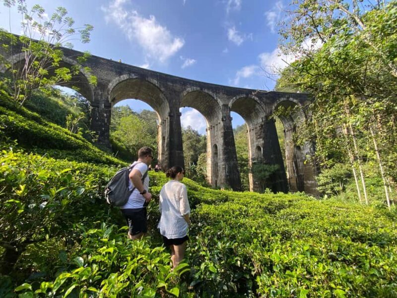 Ella: Ultimate Experience with Cooking Class & Hike - The Full Experience: A Detailed Breakdown