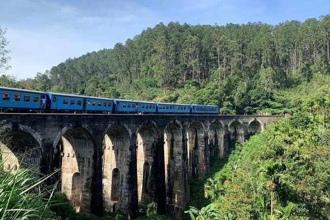 Ella:One Day Tour From Ella & Pickup From Tangalle/Mirisa/Colombo - Who Will Love This Tour?