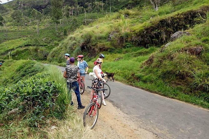 Ellawala Waterfall Cycling Tour from Ella - Bike Quality and Safety Concerns