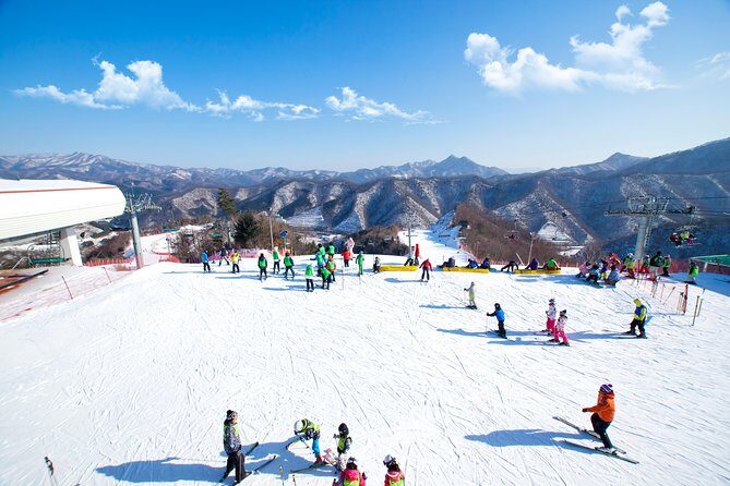 Elysian Gangchon Winter Ski + Eobi Ice Valley Day Tour fr Seoul - Who Should Book This Tour?