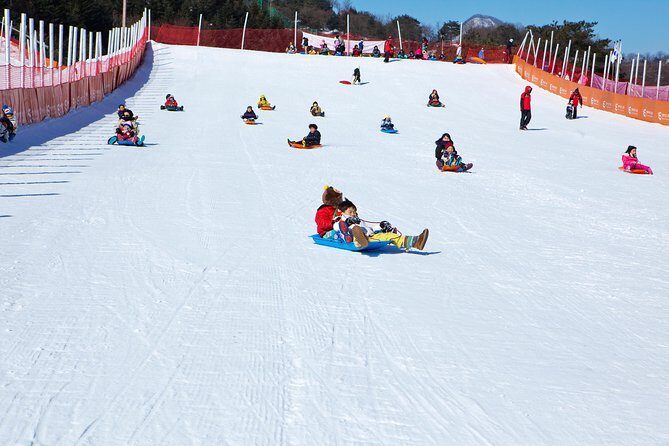 Elysian Gangchon Winter Ski + Eobi Ice Valley Day Tour fr Seoul - The Sum Up