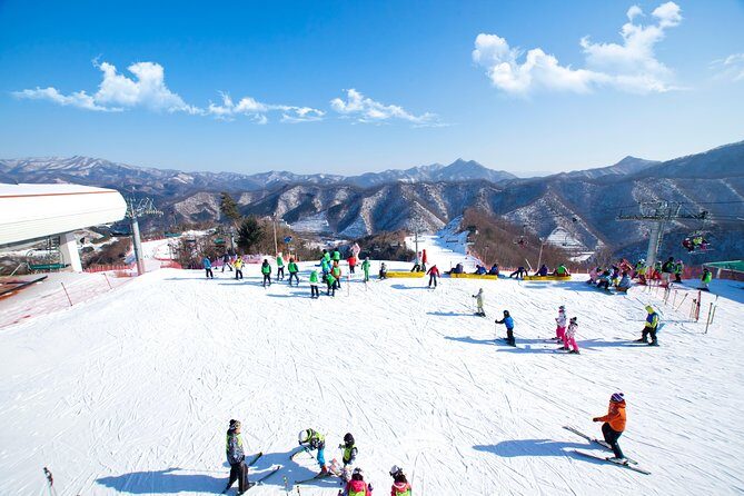 Elysian Gangchon Winter Ski with Nami Island Day Tour from Seoul - An Introduction to This Day Tour Experience