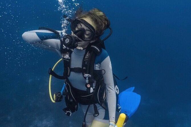 Set out on a Professional and Passionate Scuba Diving Adventure!" - The Practicalities and Value