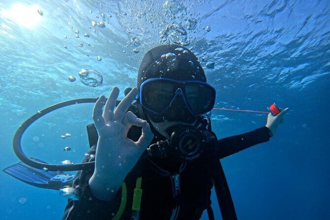Set out on a Professional and Passionate Scuba Diving Adventure!" - Who Should Book This Tour?