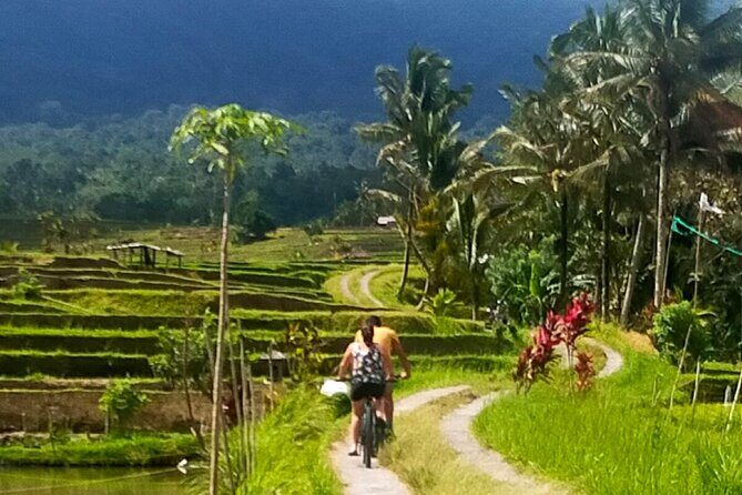 Set out on a Weeklong Expedition in Bali Tailored 4 Thrill Seekers - Frequently Asked Questions