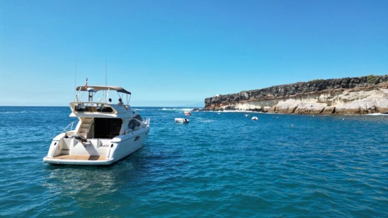 Embark on Ohh Lala sailing along the southwest of Tenerife - Real Feedback from Travelers