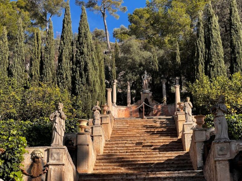 Embrace the enchantment of Mallorca's almond blossom season - Key Points