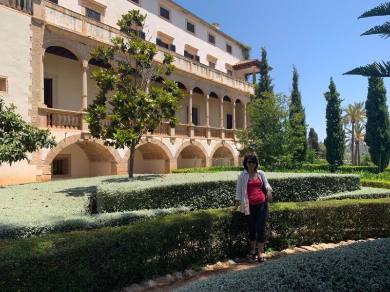 Embrace the enchantment of Mallorca's almond blossom season - Practical Details and Overall Value