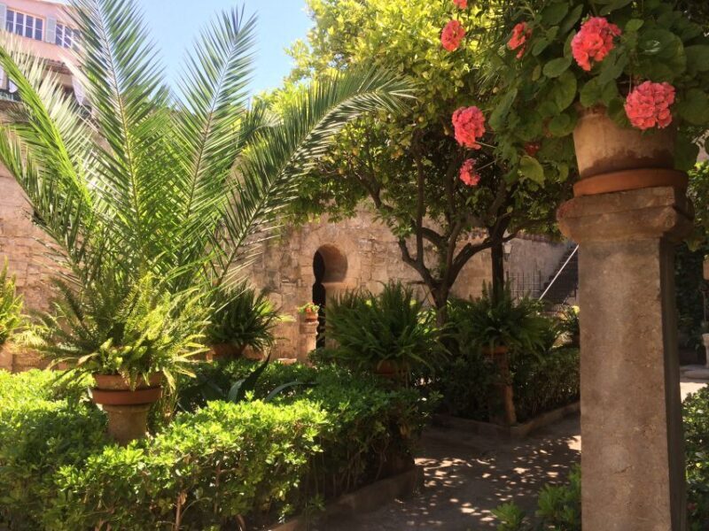Embrace the enchantment of Mallorca's almond blossom season - Final thoughts