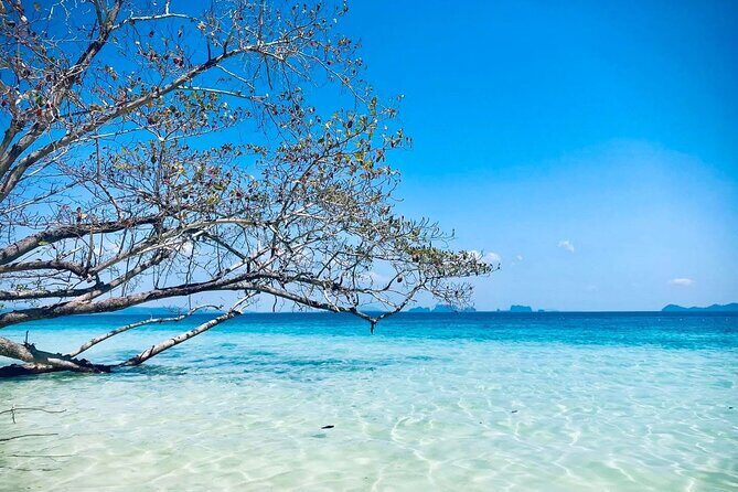 Emerald Cave and Trang 4 Islands Day Trip by Speedboat - Koh Waen (Wean Island)