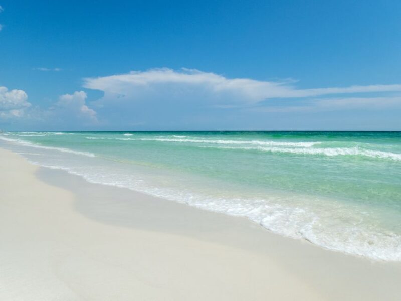 Emerald Coast: Afternoon Snorkel & Dolphin Tour - Authentic Feedback from Travelers