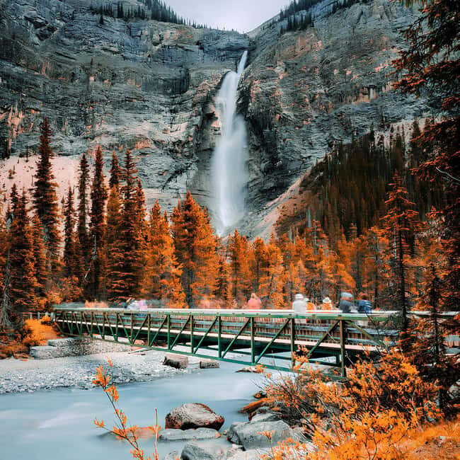 Emerald Lake, Wapta Falls & Takakkaw Falls in Yoho - Key Points