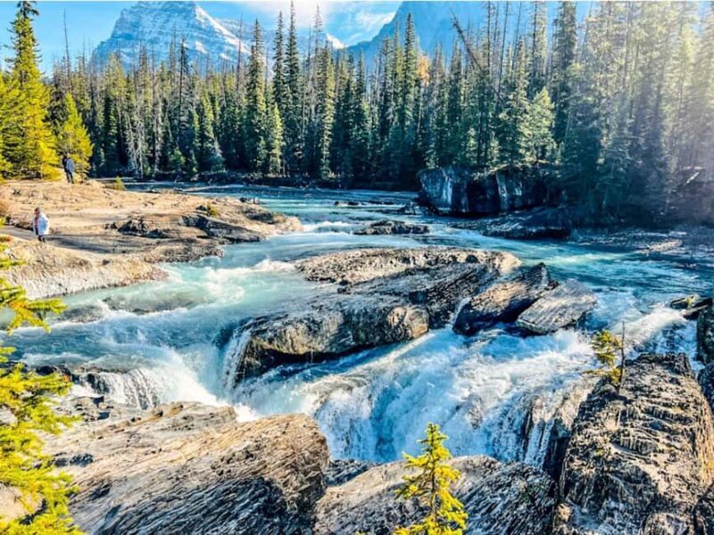 Emerald Lake, Wapta Falls & Takakkaw Falls in Yoho - What the Reviews Say