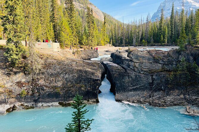 Emerald Lake,Natural Bridge, Wapta Falls & Takakkaw Falls in Yoho - Discover the Beauty of Yoho: Emerald Lake, Natural Bridge, Wapta Falls & Takakkaw Falls Tour Review