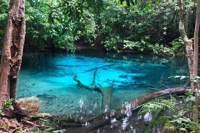 Emerald Pool: Jungle Tour, Private Full Day with Lunch - The Itinerary Breakdown: What to Expect