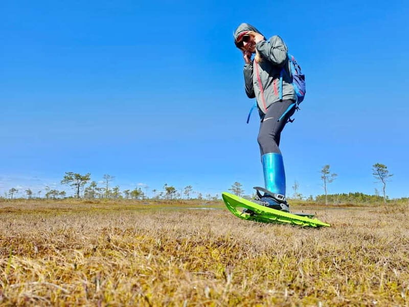 emeri Bogs Adventure: Explore Wetlands In Bog Shoes - The Guided Tour: What To Expect
