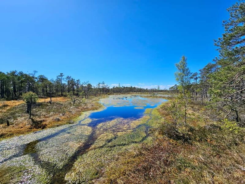 emeri Bogs Adventure: Explore Wetlands In Bog Shoes - The Value Proposition