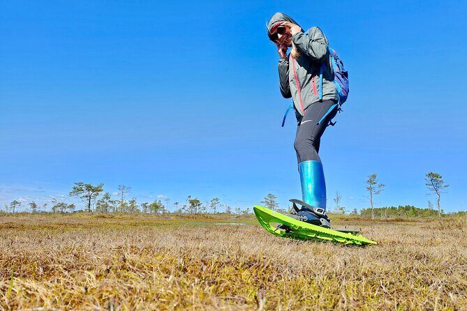 emeri Bogs Adventure: Explore Wetlands In Bog Shoes - Discovering Kemeri’s Wetlands with Bog Shoes