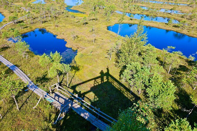 emeri Great Bog Discovery With Optional Sunrise & Jrmala Visit - Key Points