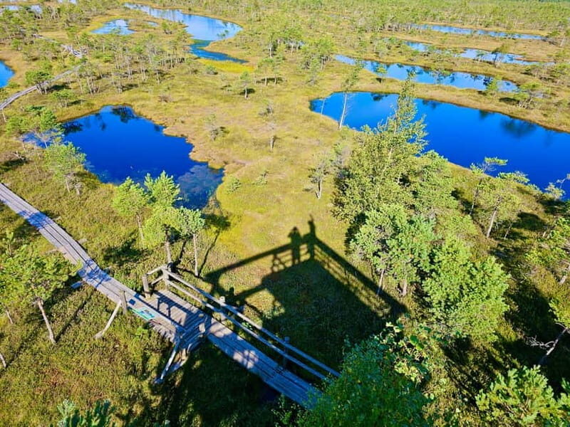 emeri Great Bog With Optional Sunrise & Jrmala Visit - What Makes the Great Kemeri Bog Special?