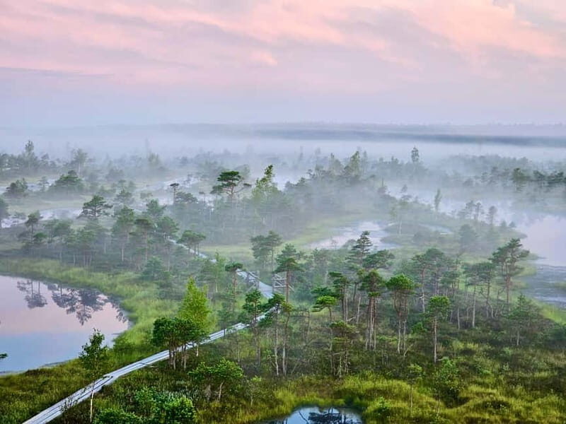 emeri Great Bog With Optional Sunrise & Jrmala Visit - Visiting the Kemeri Forests