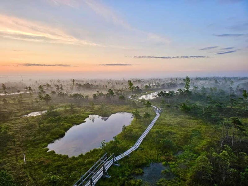 emeri Great Bog With Optional Sunrise & Jrmala Visit - Price and Value