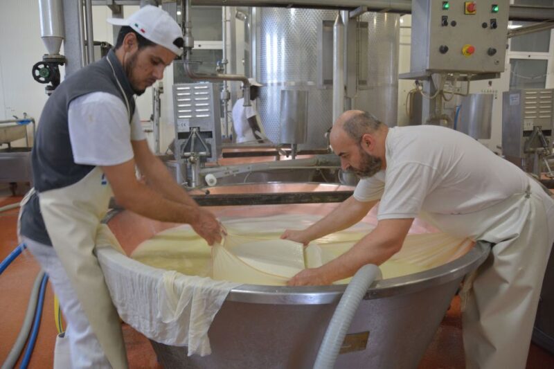Emila-Romagna: Parmigiano, Prosciutto, Wine and Balsamic. - Who Would Enjoy This Most?