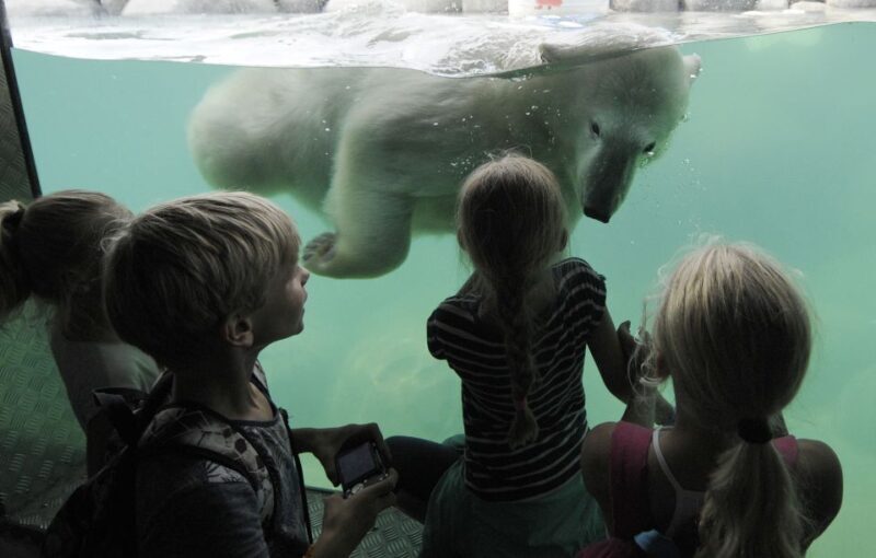Emmen: Wildlands Adventure Zoo and Rimbula River Boat Ride - Who Should Visit?