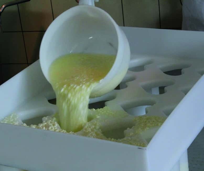 Emmentaler Journey from Zurich:Tour & Cheese Making Workshop - The Sum Up