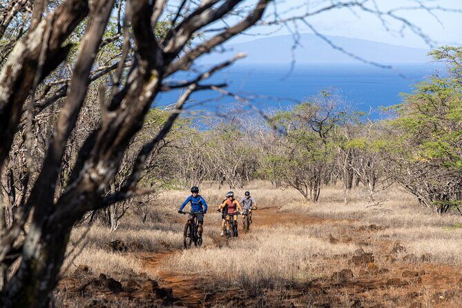Emountain Bike Tour Maui | Experience Tour  Private Ranch - Practical Details and Tips
