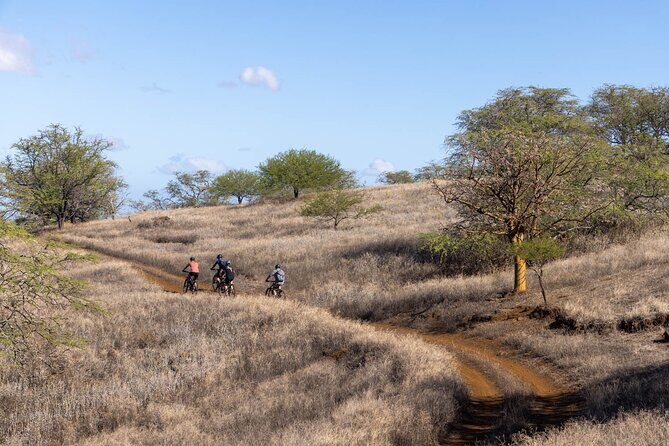 Emountain Bike Tour Maui | Experience Tour  Private Ranch - The Sum Up
