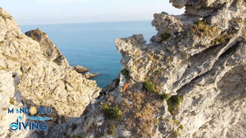 Emozionante tour della costa con drink incluso - Frequently Asked Questions