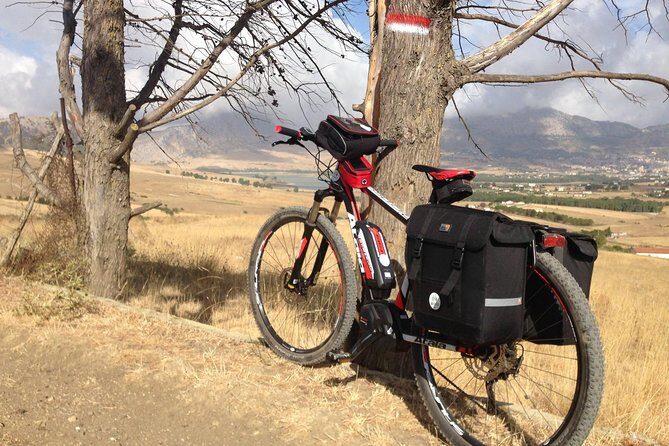eMTB Rental in Palermo - Service, Communication, and Reliability