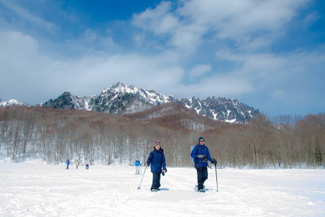 EN/CN Guided Snowshoeing and Snow Monkey Tour in Nagano - Practical Tips for Travelers