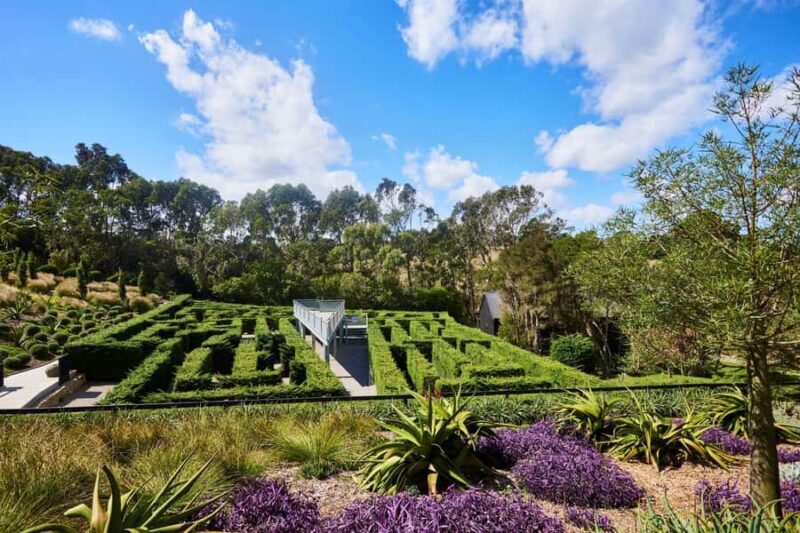 Enchanted Adventure Admission with Lunch - Accessibility and Tips