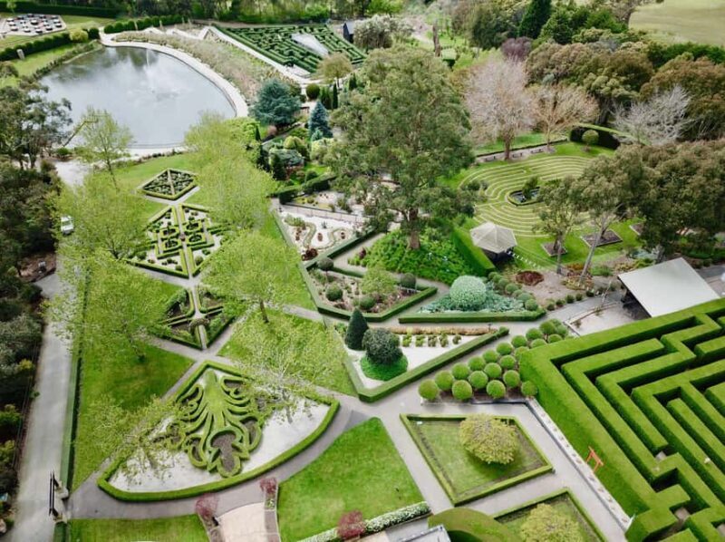 Enchanted Adventure Admission with Lunch - Authentic Experiences and Guest Feedback