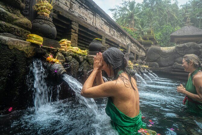 Enchanting Bali Tour with the Best Driver | All Included - Monkey Forest in Ubud: Playful Monkeys and Mystical Temples