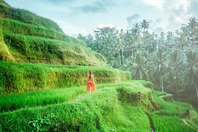 Enchanting Bali Tour with the Best Driver | All Included - Coffee Plantation: A Tasty End to the Day