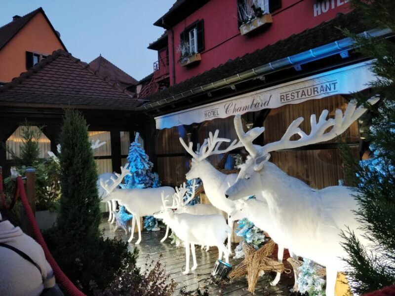 Enchanting Christmas Experience From Colmar - The Tour: A Complete Look at the Festive Day