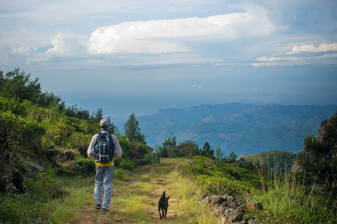 Enchanting Guided Day Tour In Ella - The Sum Up