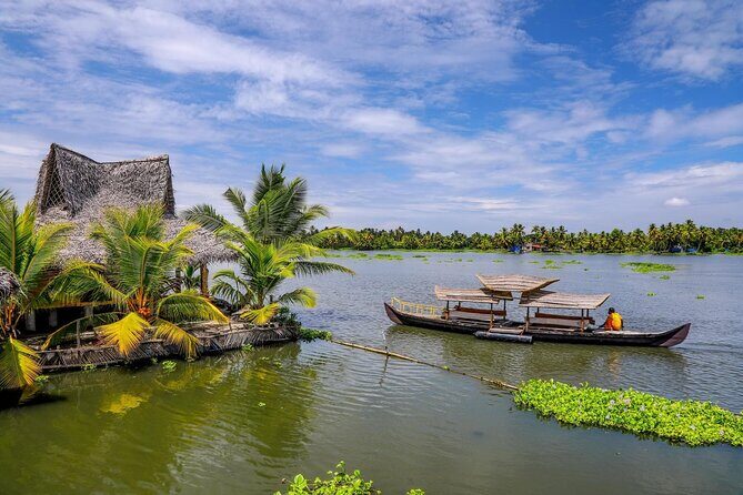 Enchanting Kerala: Tea Estate, Spice Plantation & Backwater Tour - Value and Practicality
